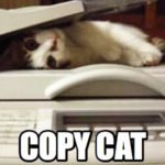 6 Tell Tale Signs of a Copy Cat Blogger - Famous Bloggers