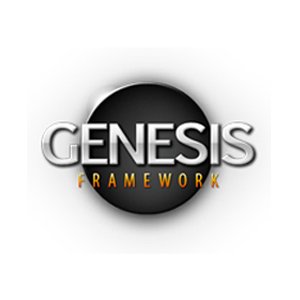 Genesis Theme: The Complete Framework for any WordPress User